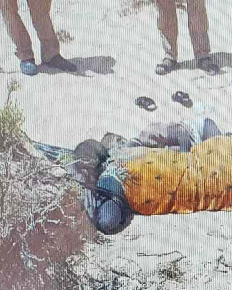 mbengue-vertical-feat – Nawaat