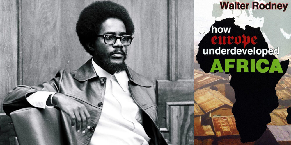 walter-rodney-2000px – Nawaat